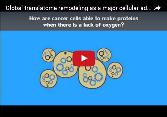 How cells survive without oxygen & able to make proteins ...