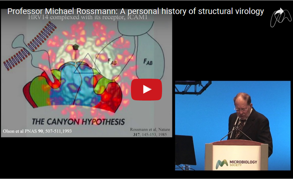 A personal history of structural virology by Professor Michael Rossman ...